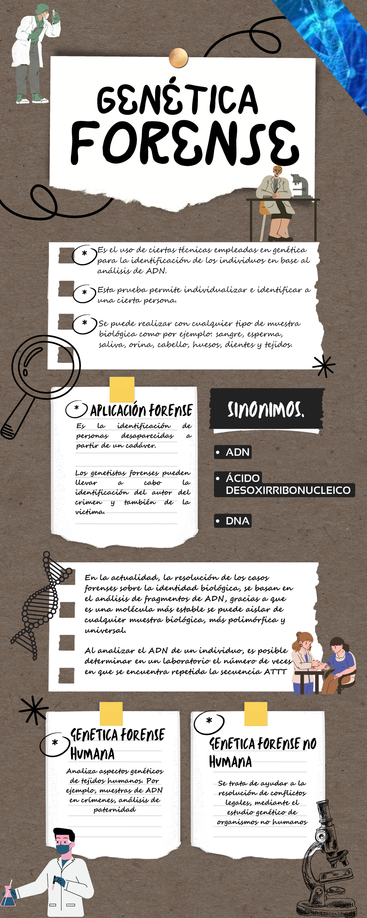 Infografía sobre Genética Forense: Identificación y Aplicaciones - Studocu