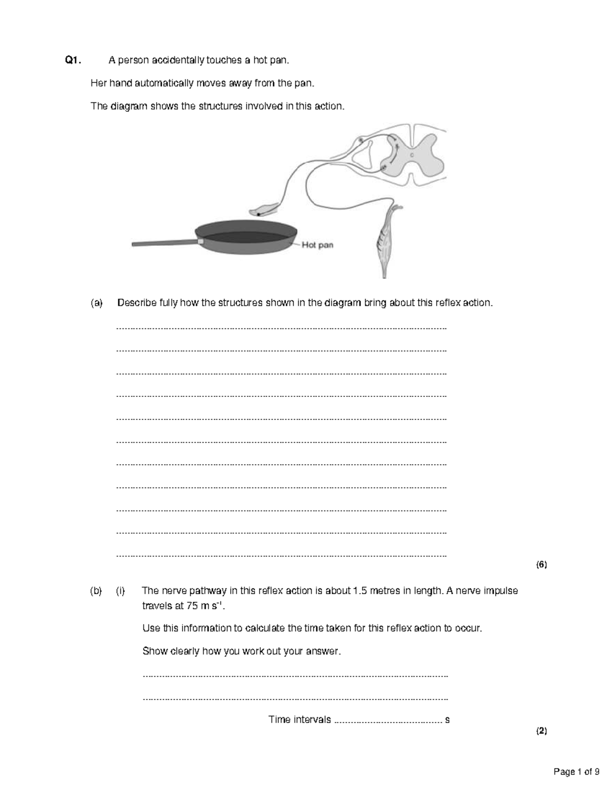 B1 - Practice Questions on Reflex Actions and Nervous System - Studocu