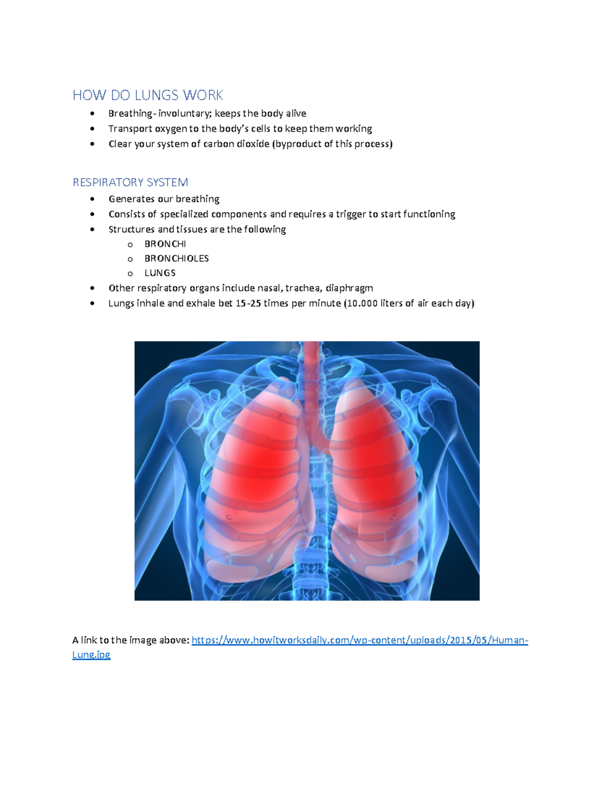 How Do Lungs Work - HOW DO LUNGS WORK Breathing- involuntary; keeps the ...