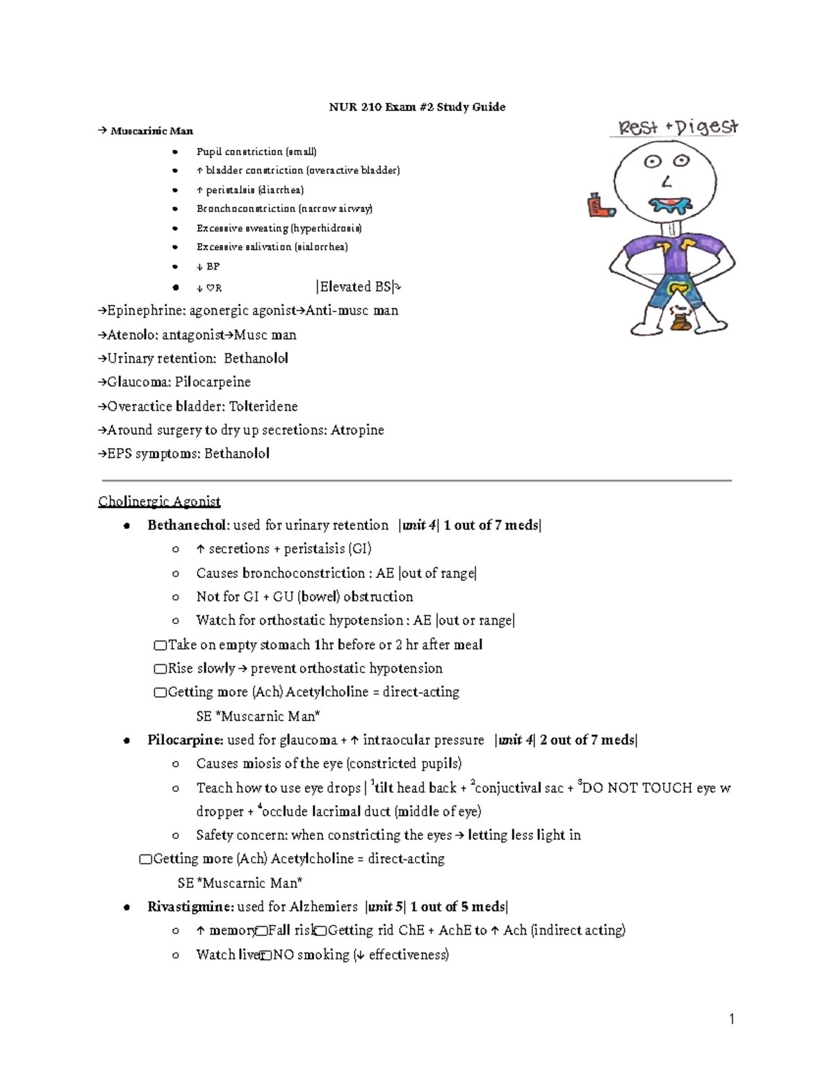 NUR 210 Exam #2 Comprehensive Study Notes on Cholinergic and Meds - Studocu