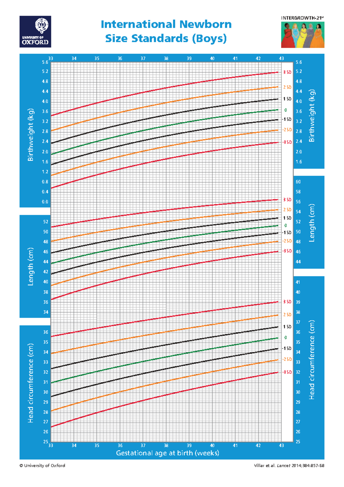 International Newborn Size Standards (Boys) - Curva Intergrow - Studocu