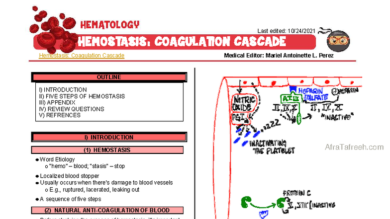 HEMATOLOGY: Final Exam Notes on Hemostasis & Coagulation Cascade - Studocu
