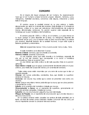 Título: Anatomía Humana: Posición y Movimientos Básicos - Studocu