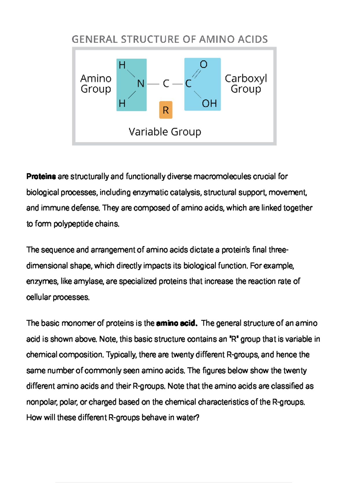 Understanding Protein Structure and Function in Biology (BIO 101) - Studocu