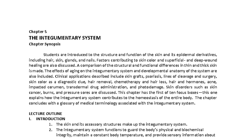 Chapter 5 integumentary Summary - Chapter 5 THE INTEGUMENTARY SYSTEM ...
