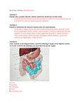 BIOD 151 - Portage Learning - Essential Human Anatomy and Physiology 1 ...