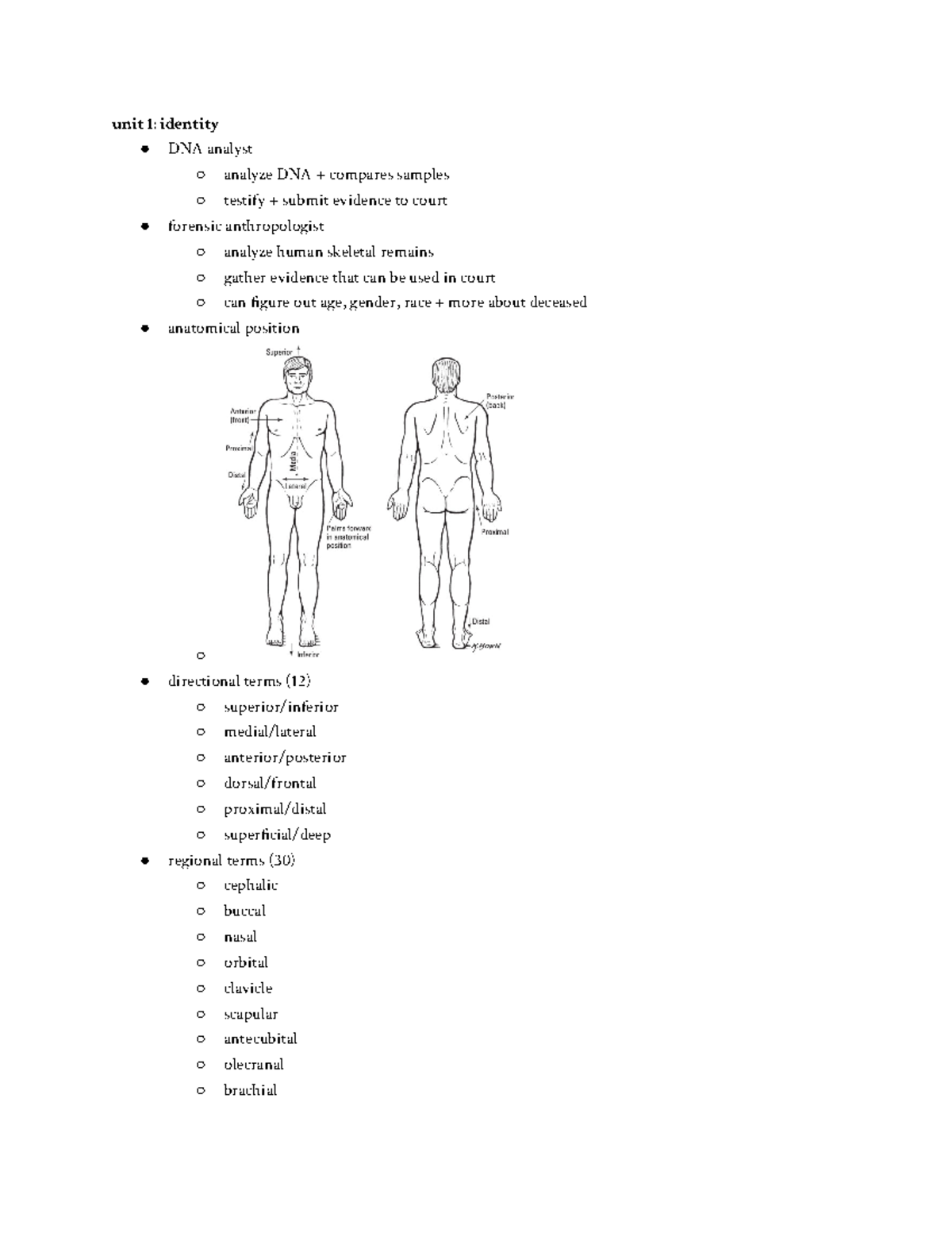 PLTW HBS S1 Final Exam Study Notes: Anatomy & Functions Overview - Studocu