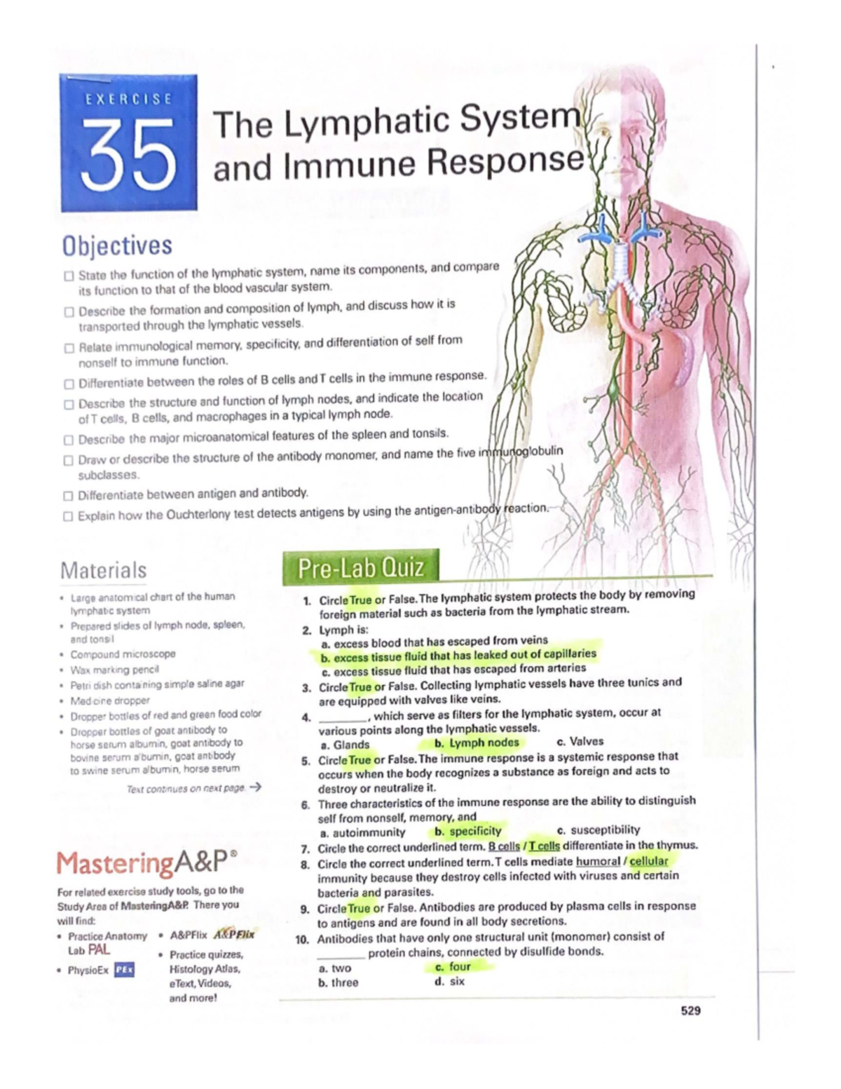 EXERCISE 35 The Lymphatic System & Immune Response Overview - Studocu