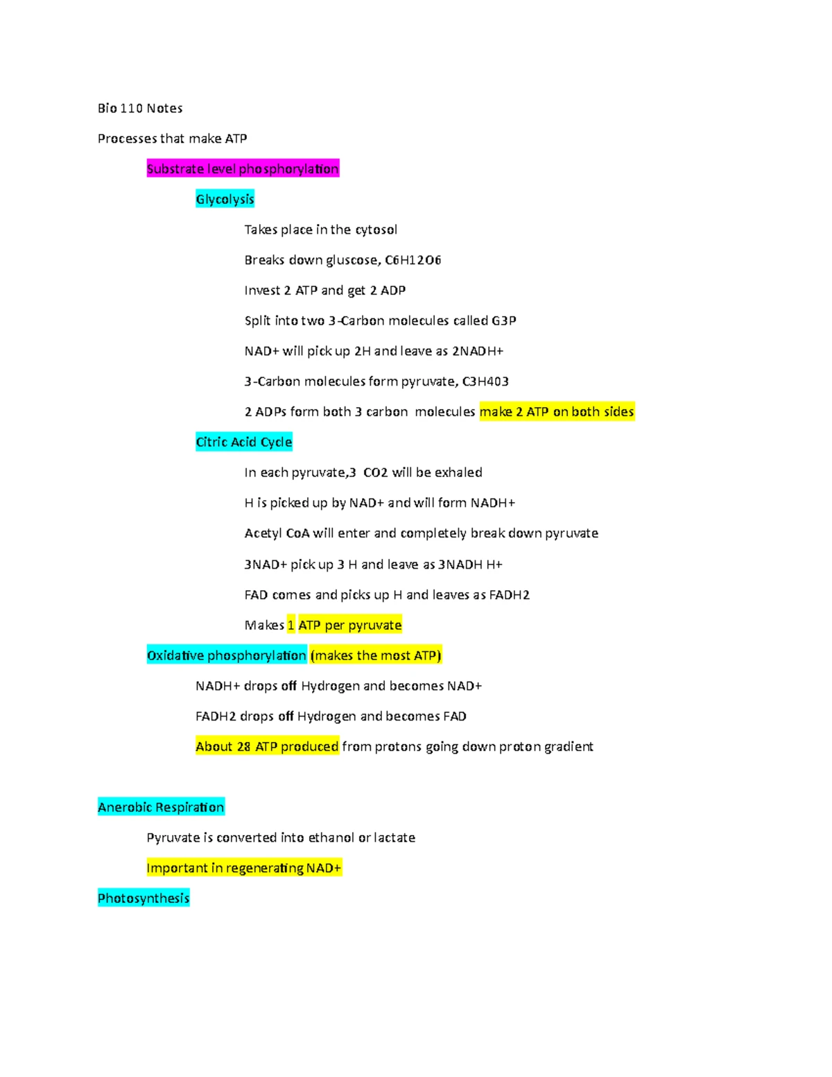 Photosynthesis Lab report - Faster Rates of Photosynthesis in Spinach ...