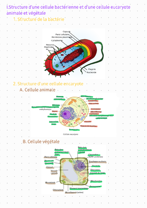 Cours conservation 2021 - PARTIE IV -LA CONSERVATION DES SOUCHES ...
