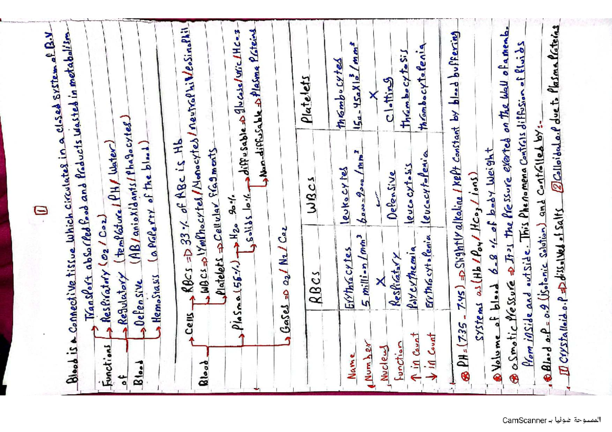 Blood Functions and Properties: A Comprehensive Overview (BIO101) - Studocu