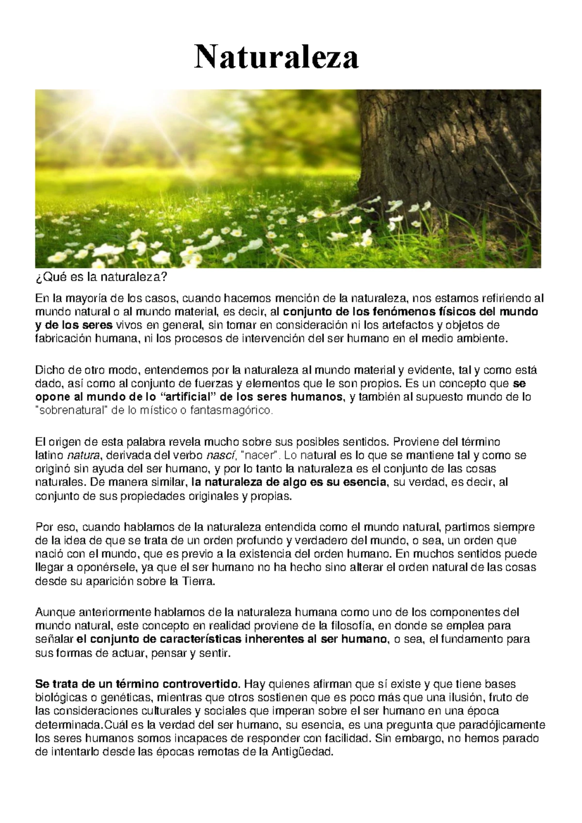 Pdf-album-de-medios-de-transporte-terrestre-maritimo-y-aereo-en-ingles ...