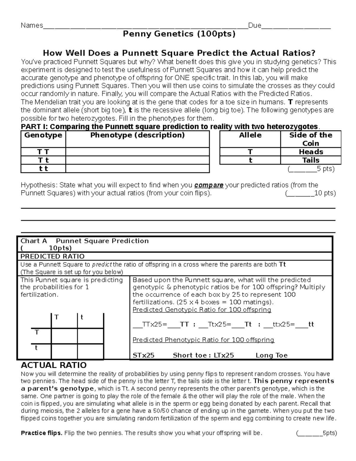 Genetics Penny Genetics - - Studocu