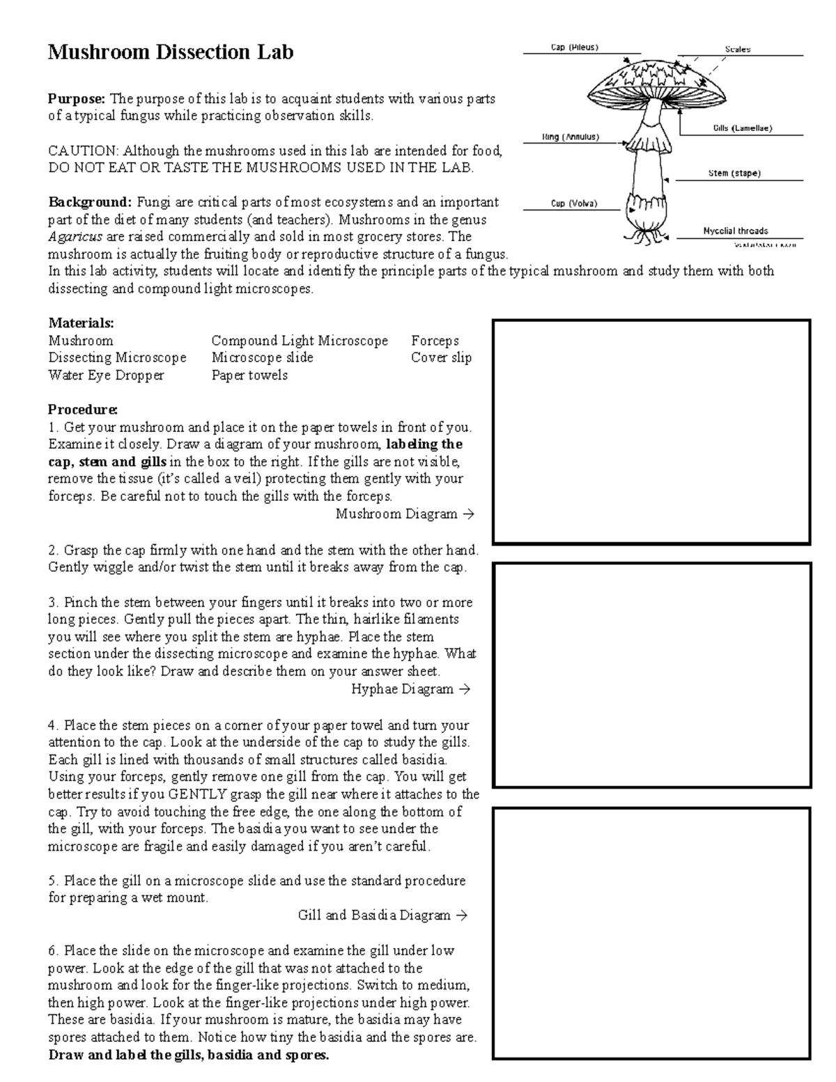 12c - Mushroom Dissection Lab - Mushroom Dissection Lab Purpose: The ...