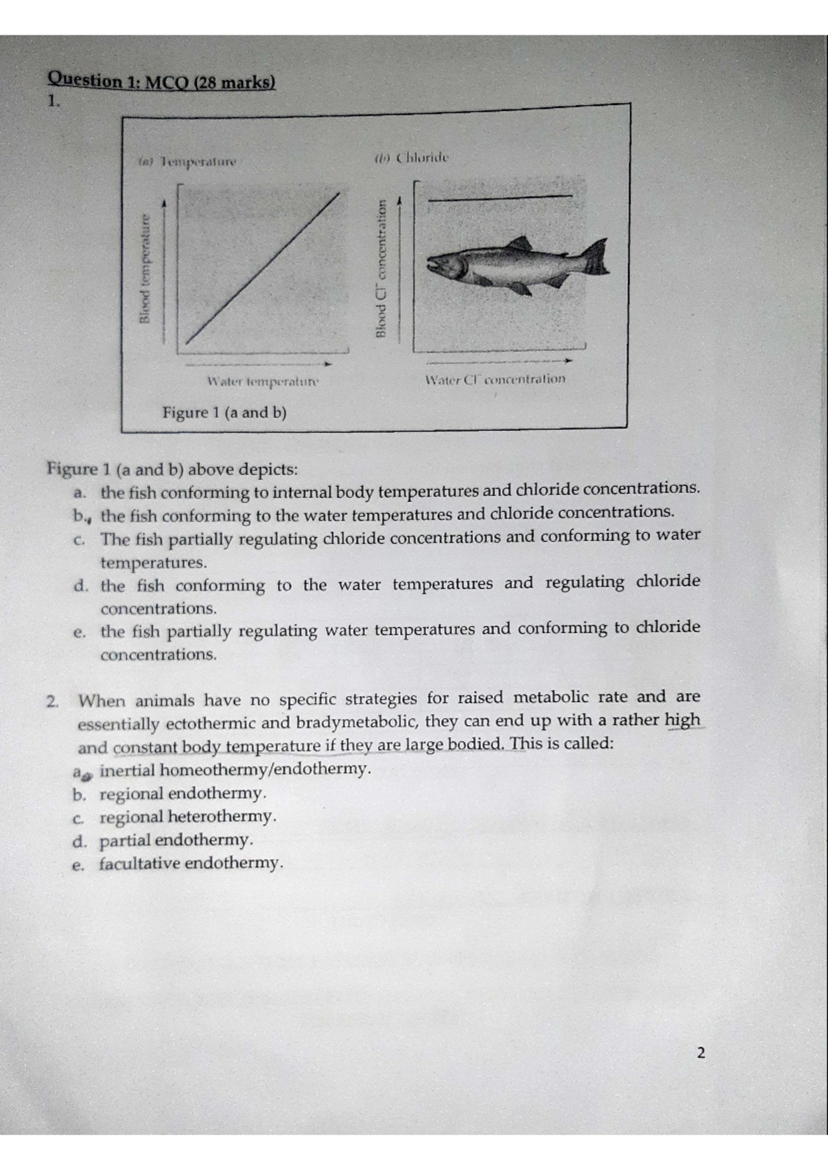 BIO204 Test 2 - Multiple Choice Questions Overview and Answers - Studocu