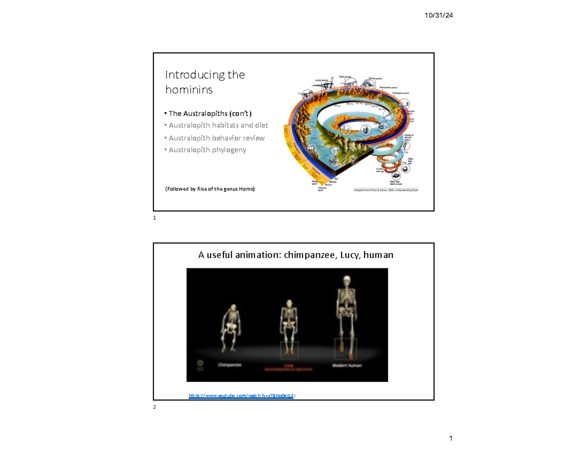 Lecture #17: Rise of the Genus Homo and Australopith Evolution - The ...