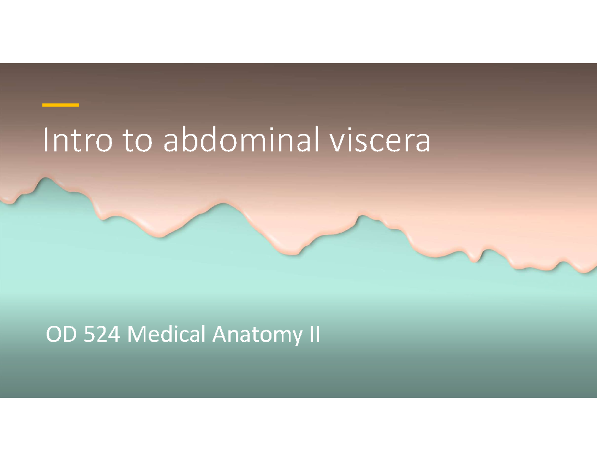 OD 524 Lecture 4: Intro to Abdominal Viscera & Anatomy - Studocu