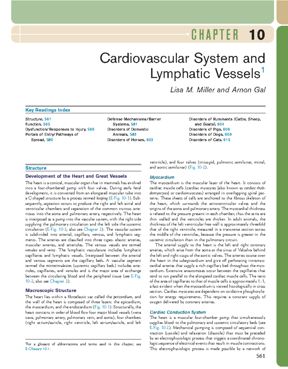 CHAPTER 10 Cardiovascular System and Lymphatic Vessels: Key Insights ...