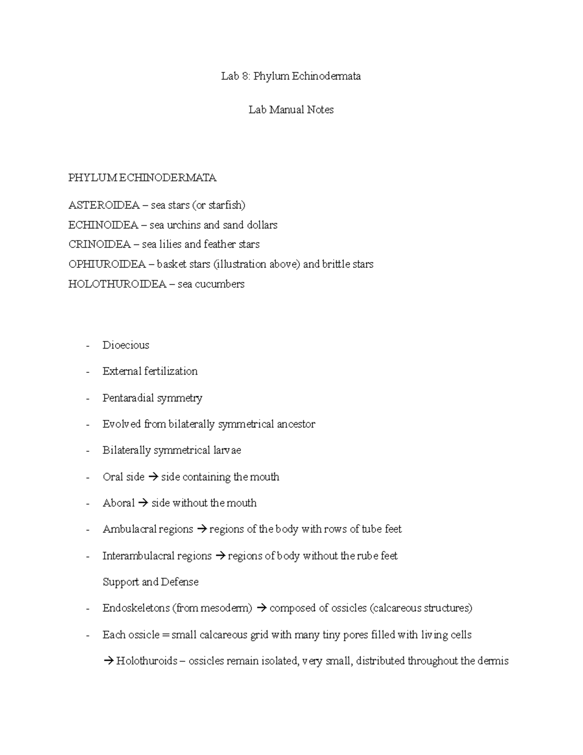 Lab 8: Echinodermata Overview and Key Concepts Notes - Studocu