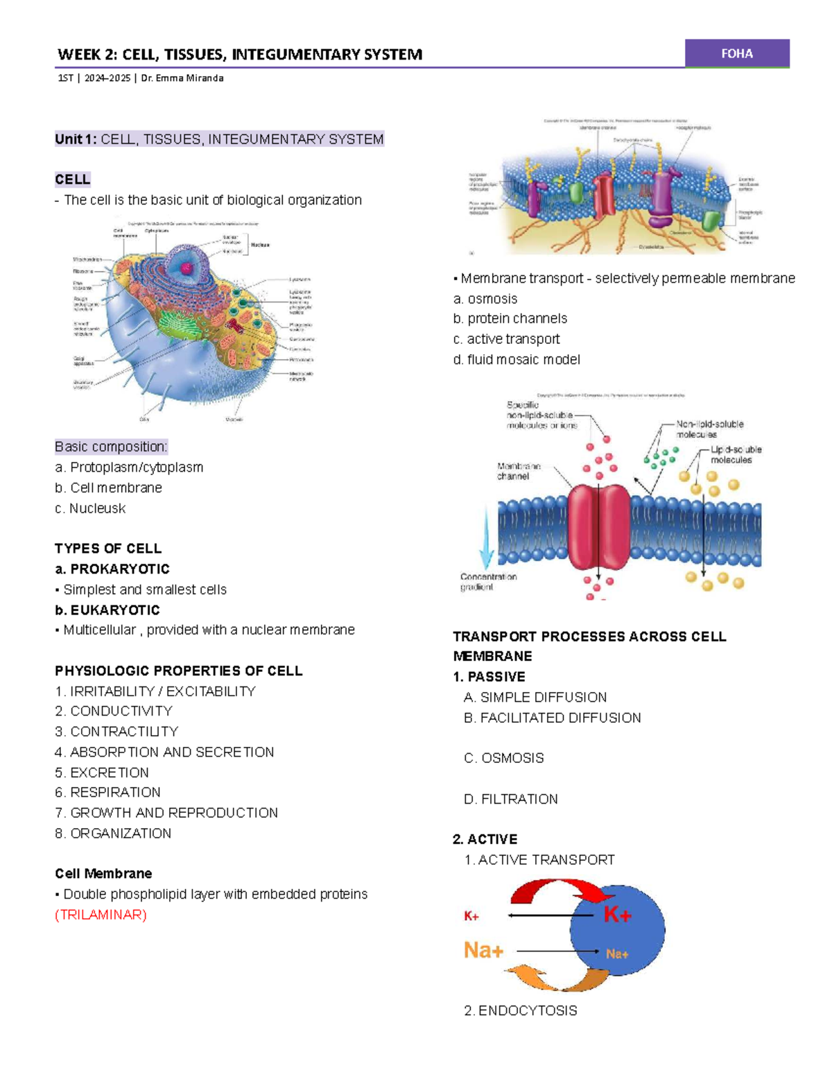 WEEK 2: CELL, TISSUES, INTEGUMENTARY SYSTEM FOHA 1ST Lecture Notes ...