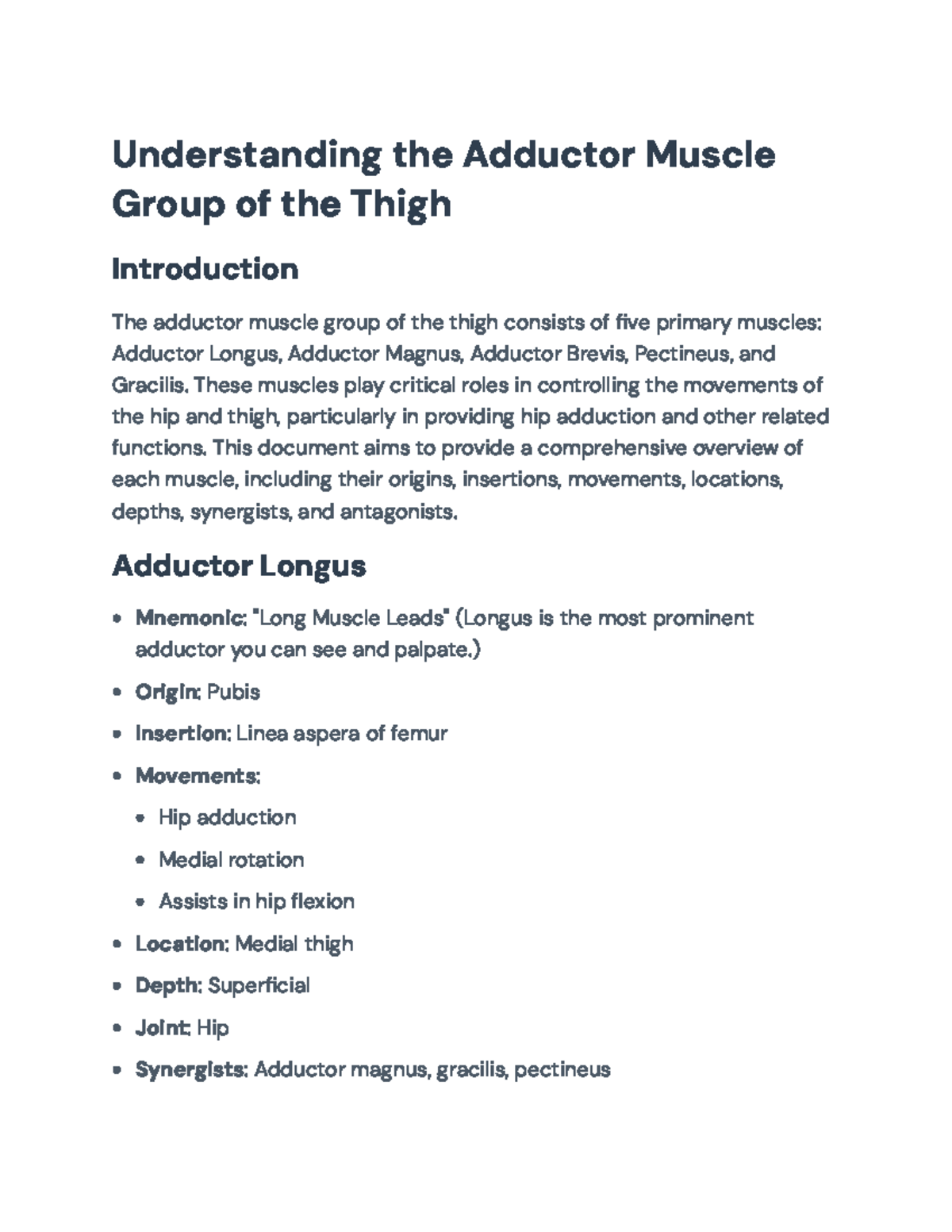 Adductor Muscle Group of the Thigh: Anatomy and Function Overview ...