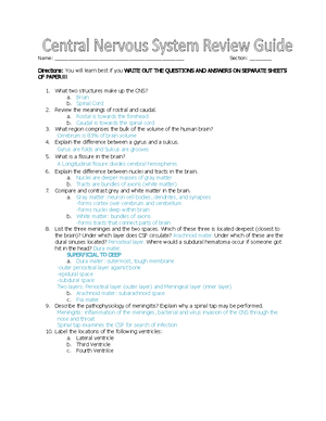 Understanding the Anatomy and Function of the Human Ear (BIO101) - Understanding the Human Ear ...