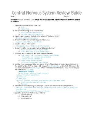 Review Guide 12 Central Nervous System - Review Guide 11 Central Nervous System What two ...