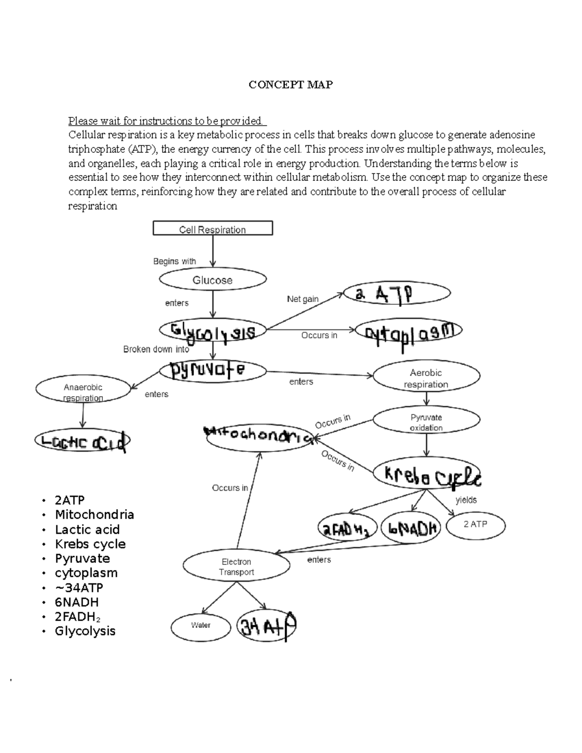 Concept map cellular respiration - Canvas Quiz - CONCEPT MAP Please ...