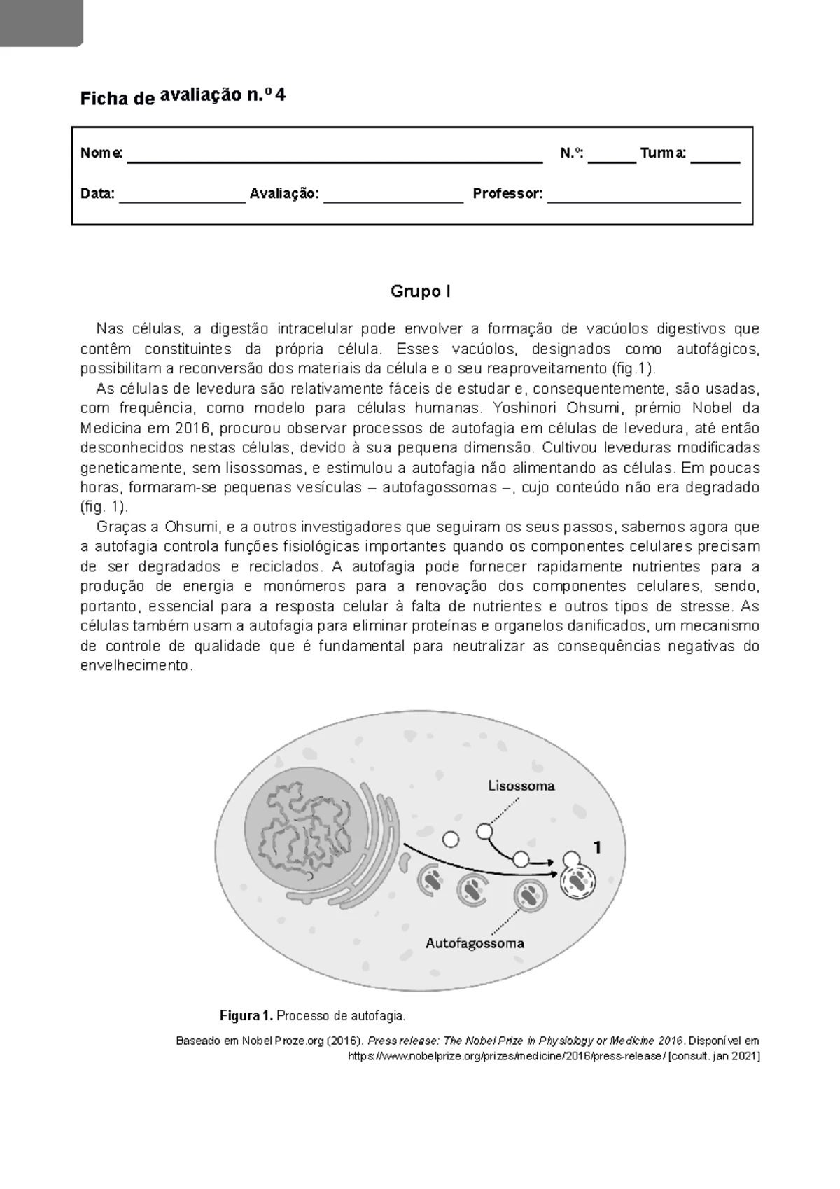 Teste de Avaliação de Geologia - 11.º Ano (Geologia) - Studocu