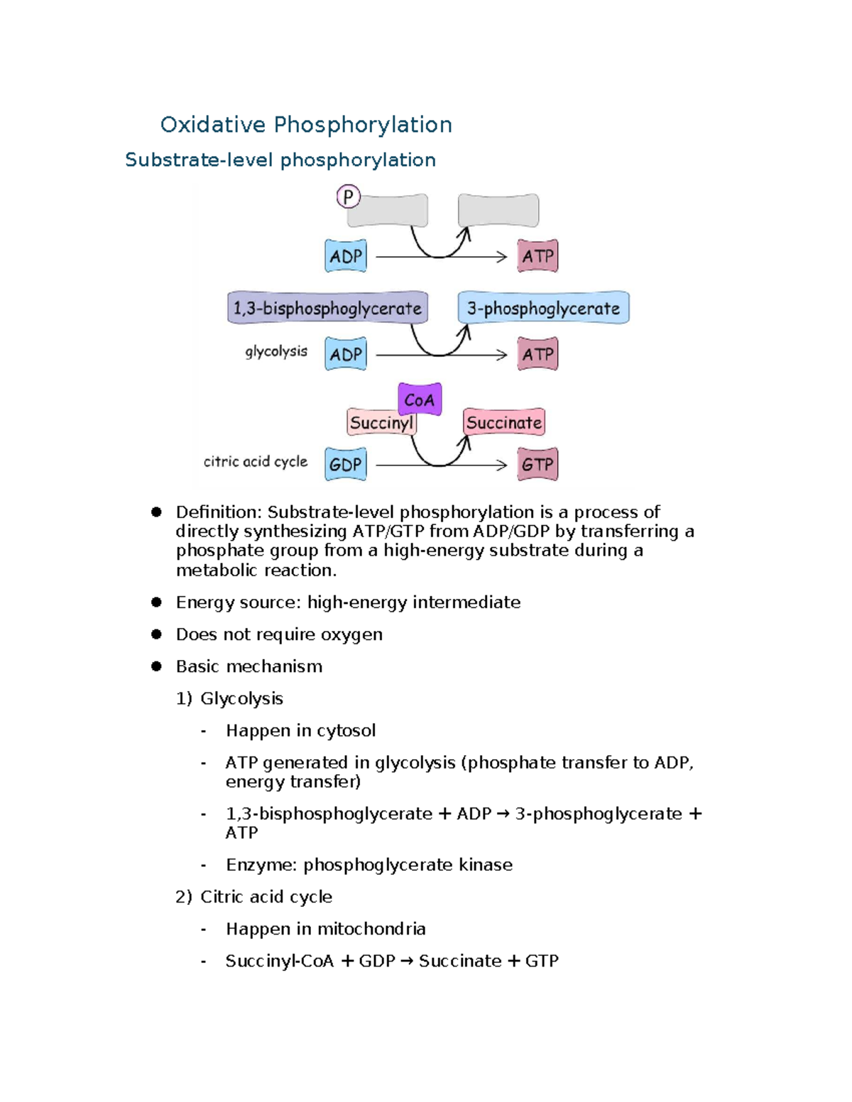 Bioc0001 metabolism lecture 2: oxidative phosphorylation explained ...
