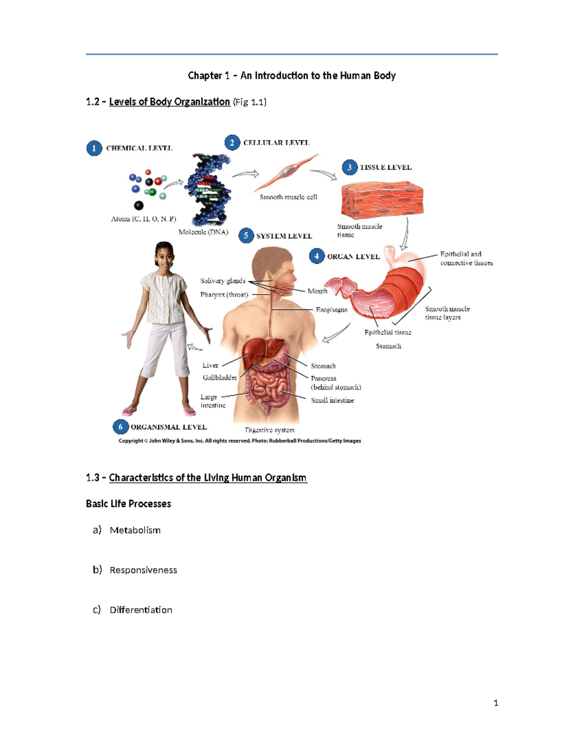 Chapter 1 & 2 Notes: Intro to Human Body & Chemical Organization ...
