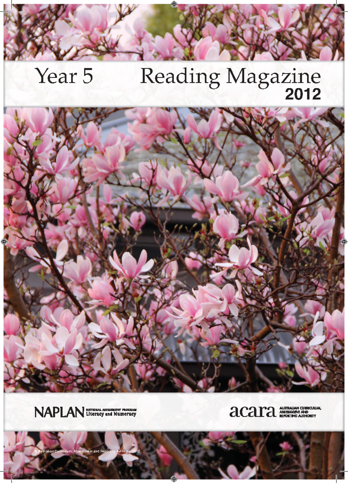 Year 5 Reading Magazine Insights (NAPLAN 2012) - Studocu
