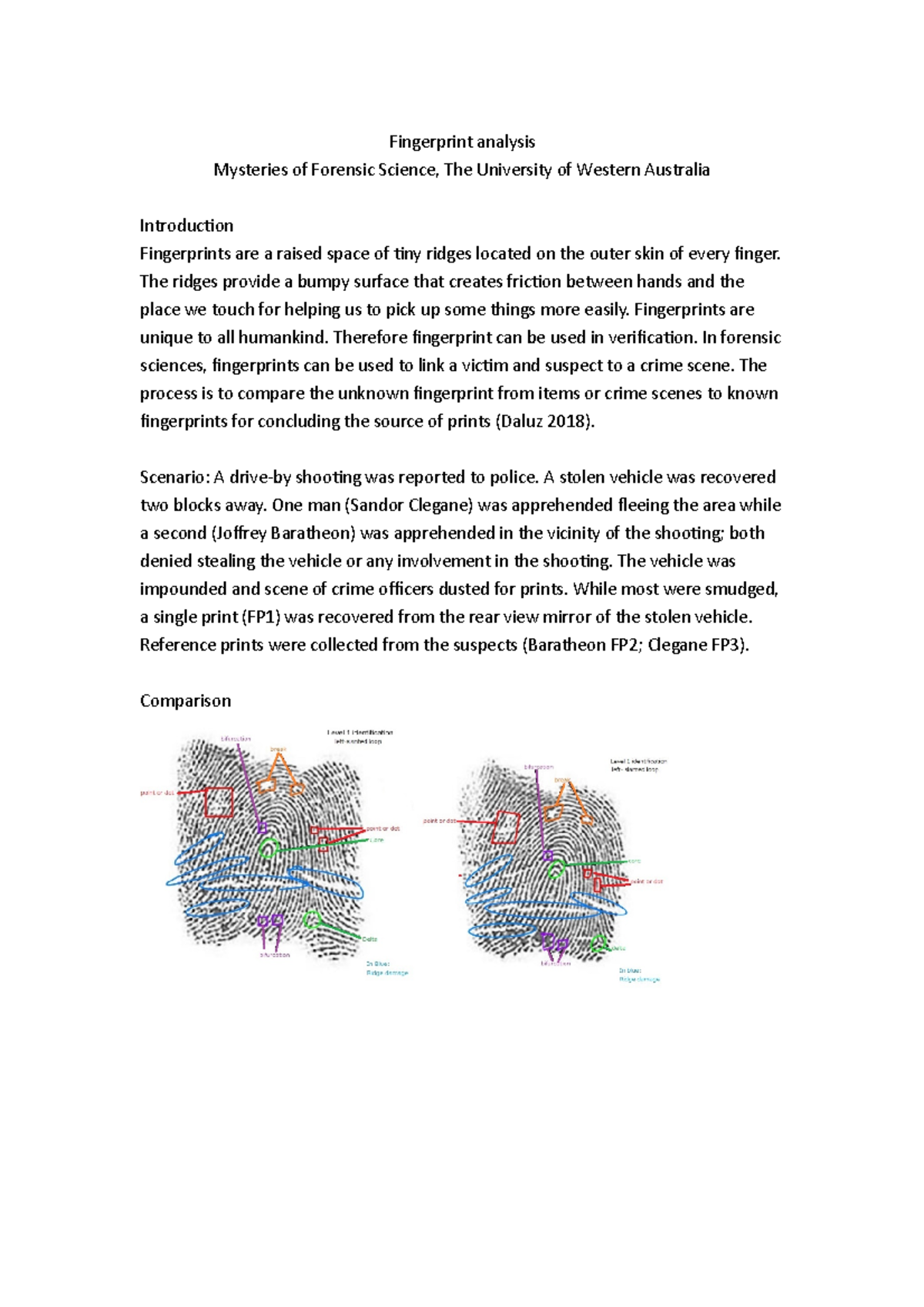 FNSC2220 - This is an analysis of an fingerprint poster annessment ...