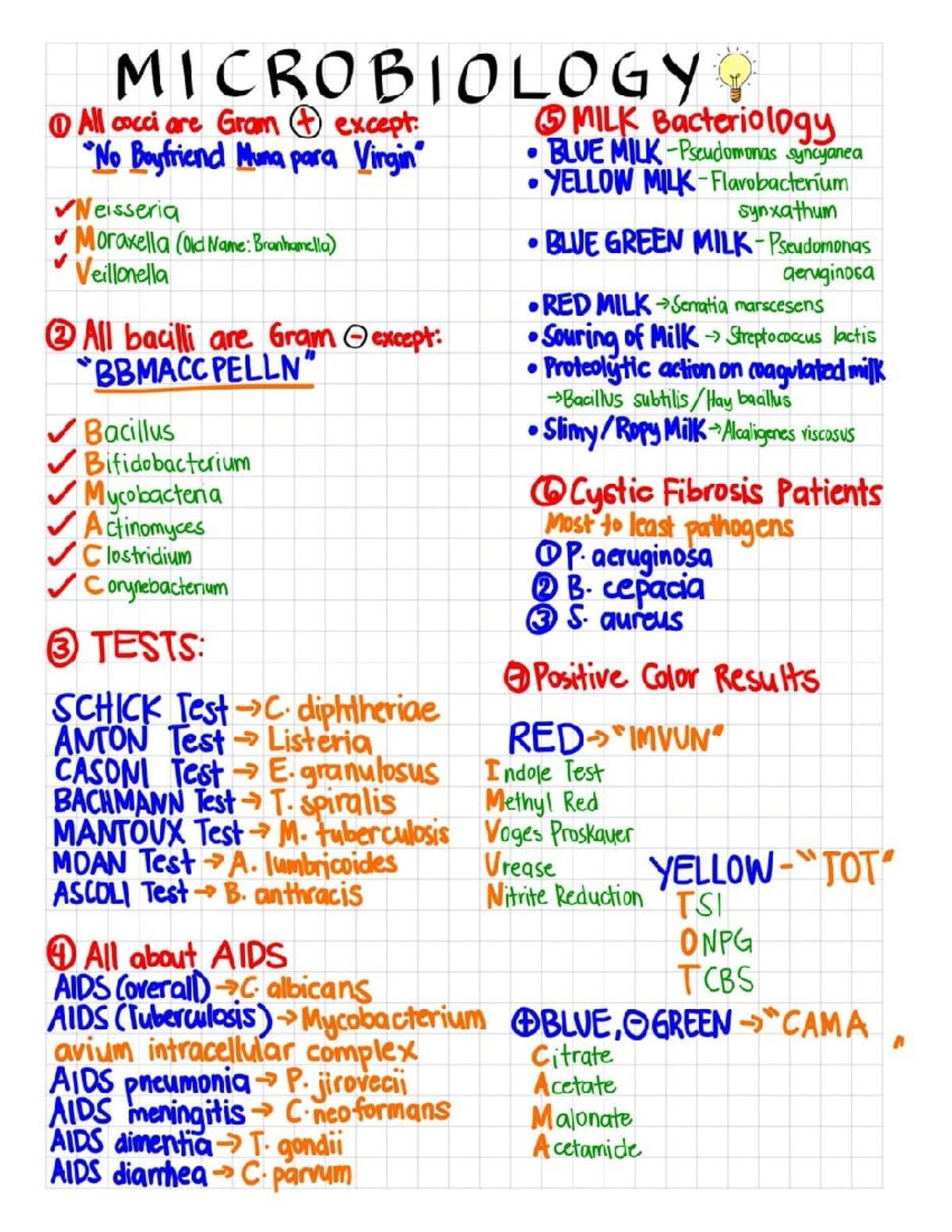 MICROBIOLOGY 0: Key Bacteriology Mnemonics and Concepts - Studocu