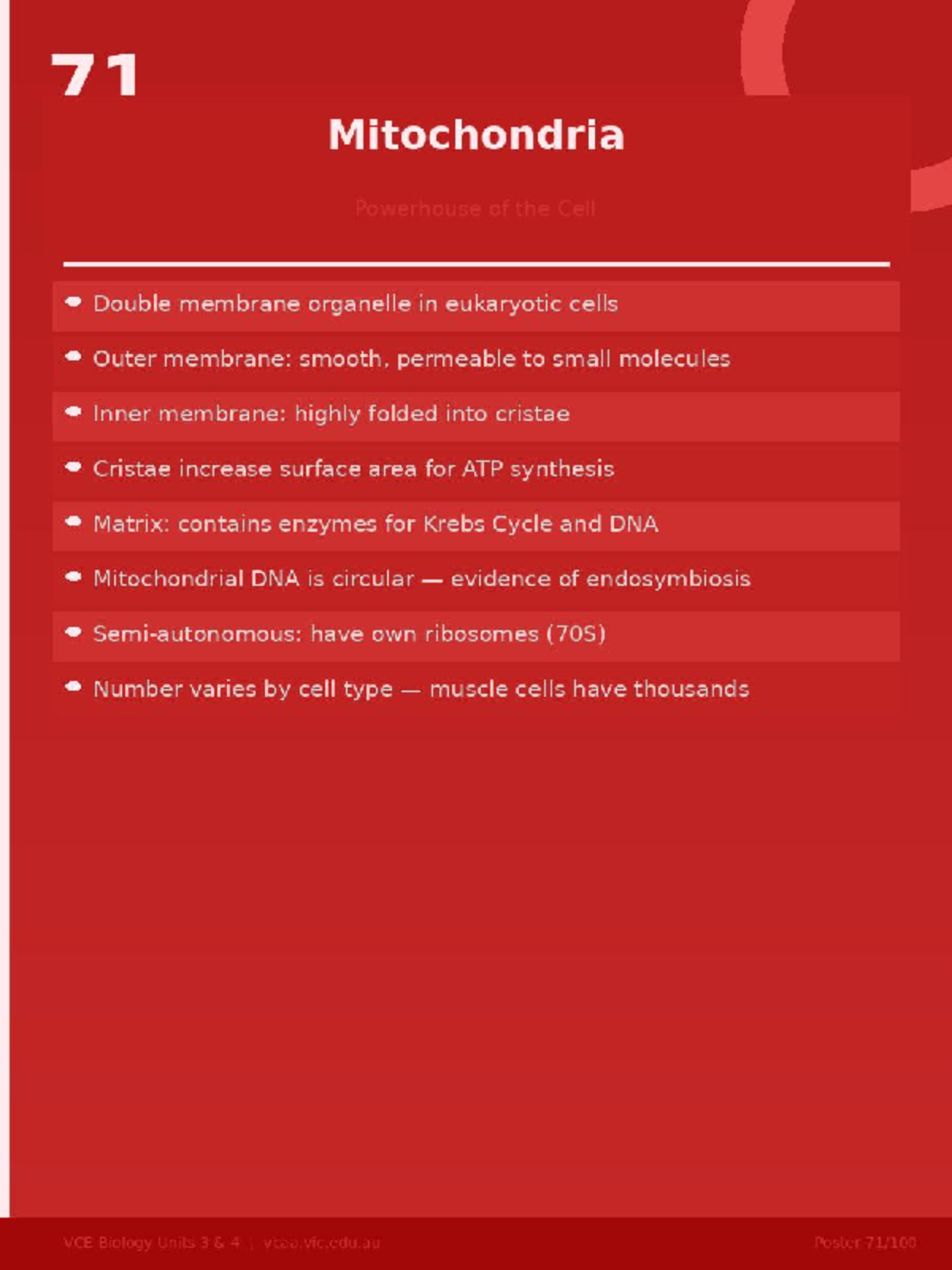 71 mitochondria - biology unit 3/4 summary for the topic - 77 ...