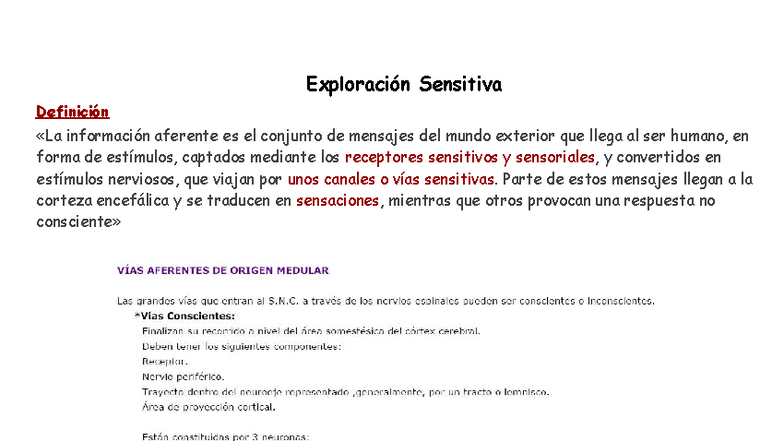 Resumen Neuro 2: Exploración Sensitiva y Evaluación Muscular - Studocu
