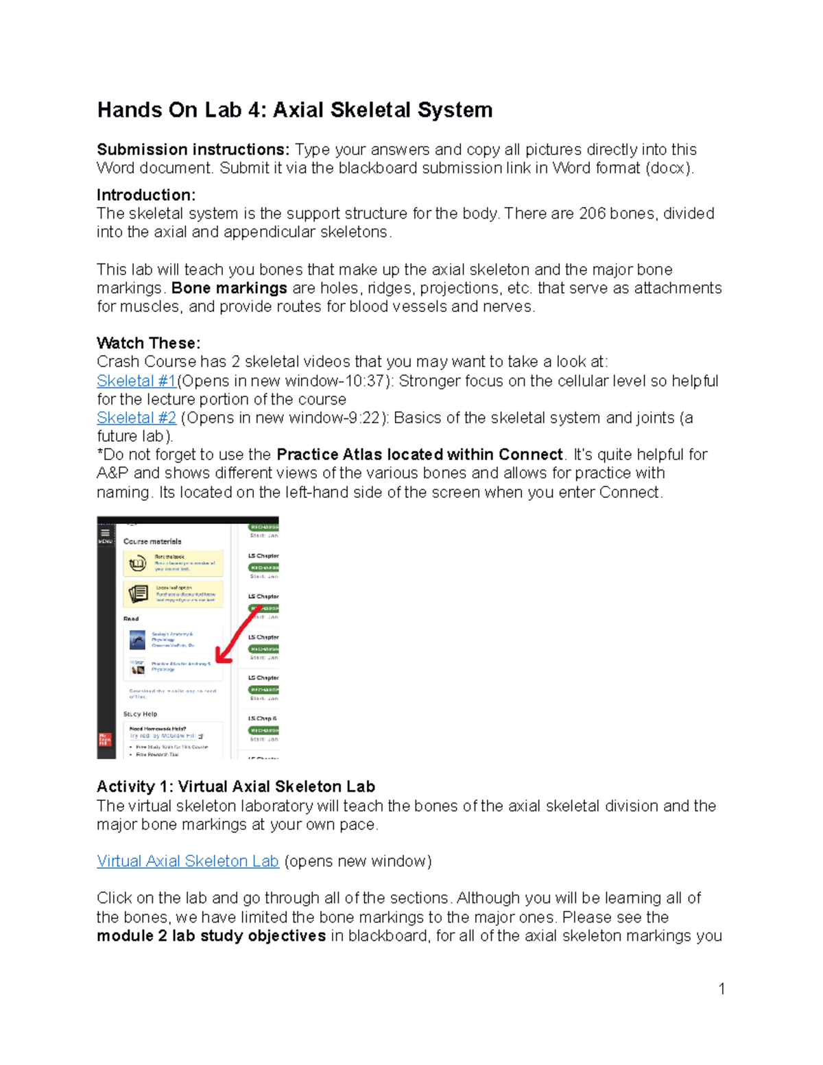 Lab4 Axial N - Hands On Lab 4: Axial Skeletal System Submission ...