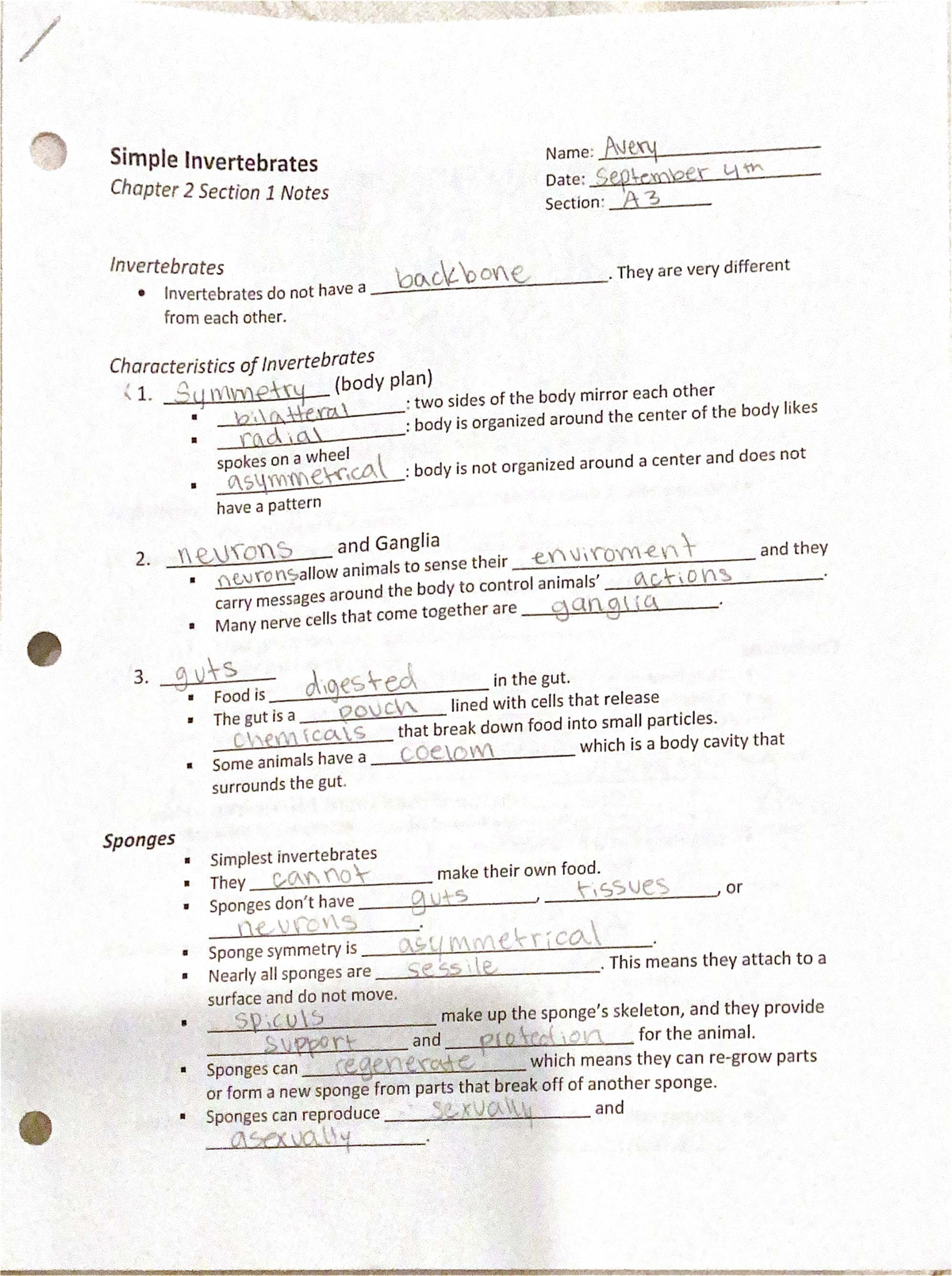 XYZ 101 Final Exam Study Guide: Invertebrates Chapter 2 Notes - Studocu