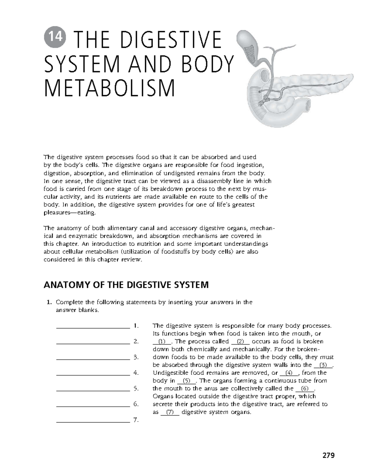Digestive System Worksheet 1: Anatomy & Functions Overview - Studocu