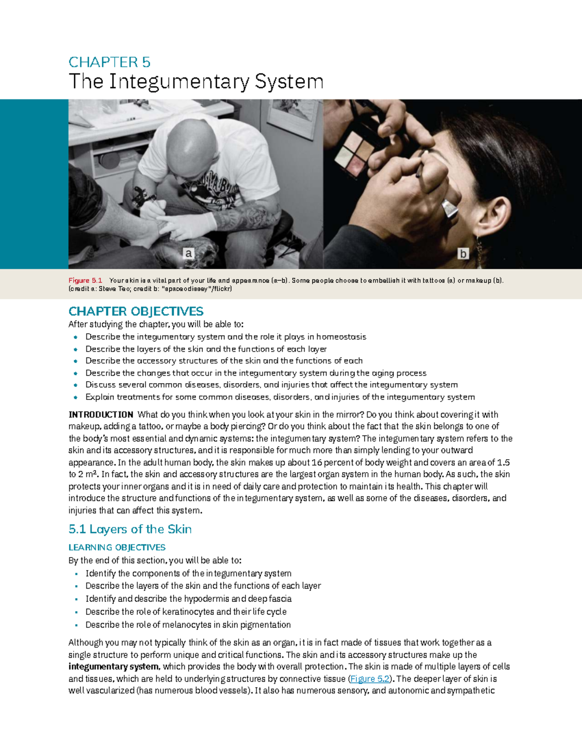 CHAPTER 5 Integumentary System: Anatomy, Functions & Disorders - Studocu