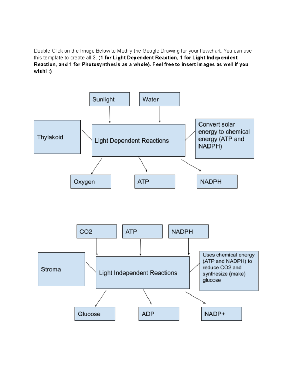 Copy of Photosynthesis Flow Chart Template - Double Click on the Image ...