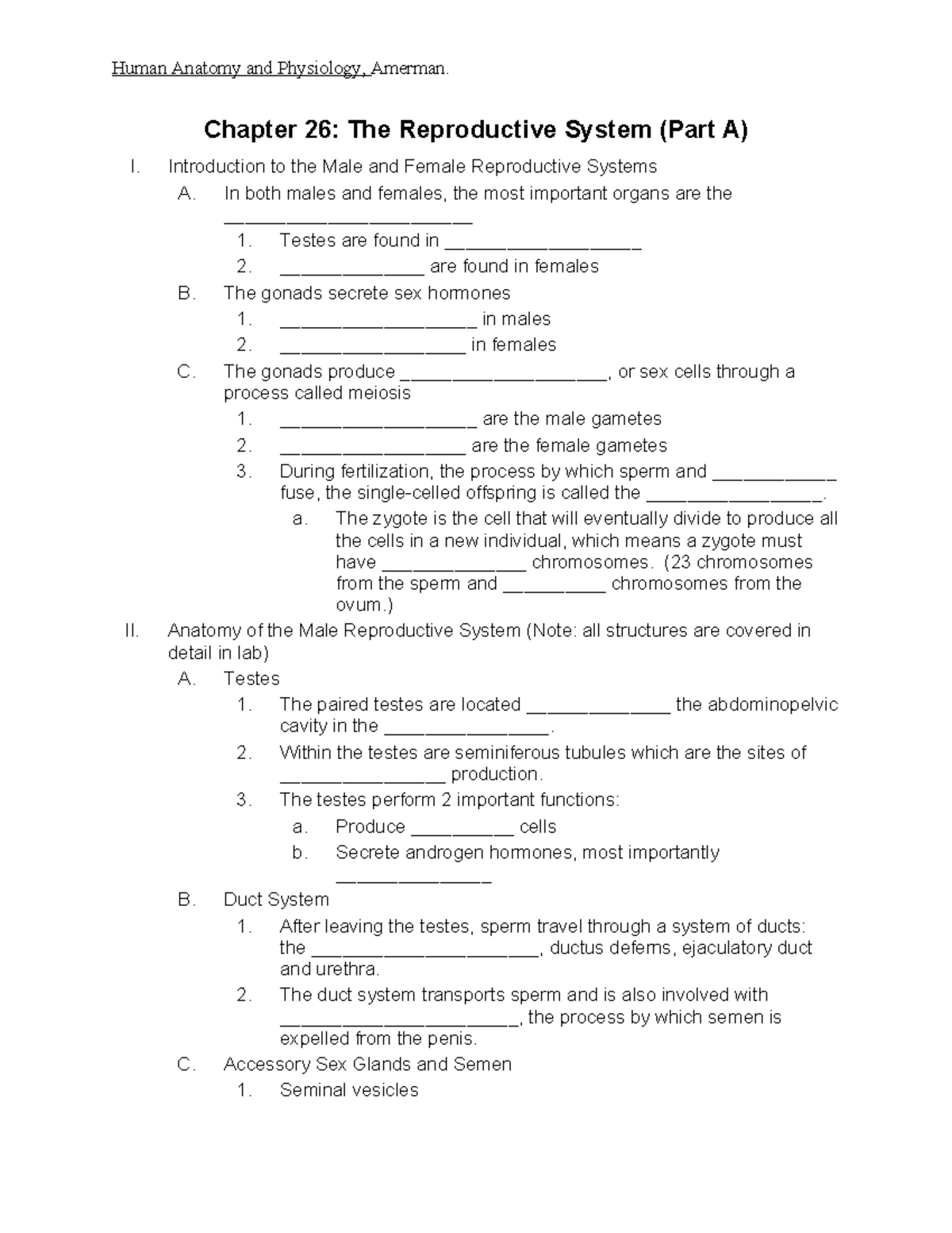 Human Anatomy and Physiology, Amerman: Chapter 26 - Reproductive System ...