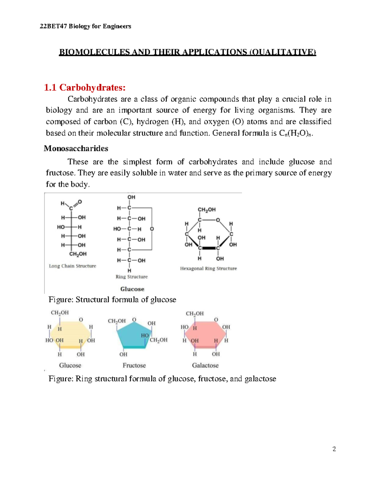 Carbohydrates: Structures, Applications & Bioplastics (Bio 11 Study ...