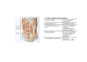 Anatomie van het bewegingsapparaat in beeld - Anatomie van de heup ...