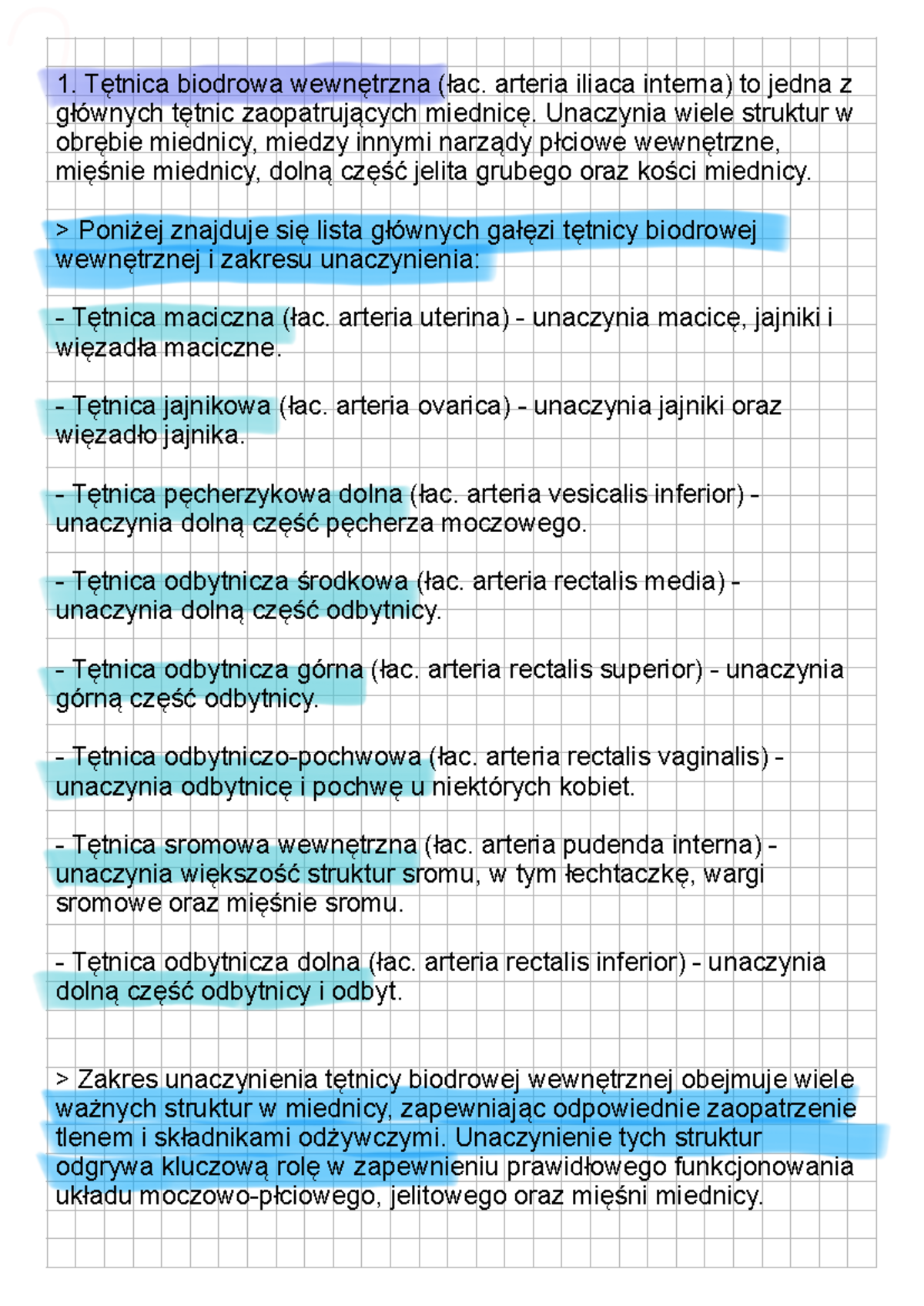 Tętnica biodrowa wewnętrzna: Anatomia i unaczynienie w miednicy - Studocu