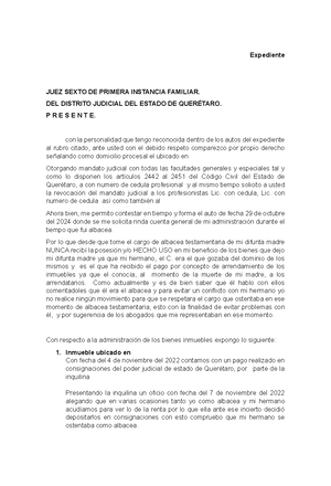 Regularización DEL Procedimiento - ROCIO ORTEGA TURREN. VS. ERNESTO ...