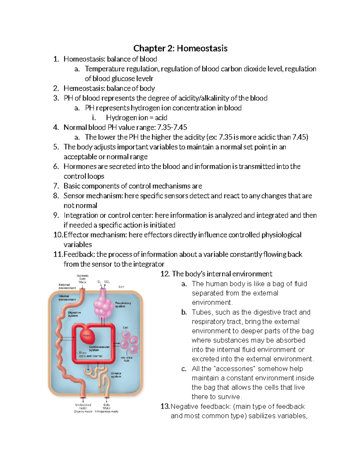 Chapter 2 Homeostasis - Chapter 2: Homeostasis Homeostasis: balance of ...