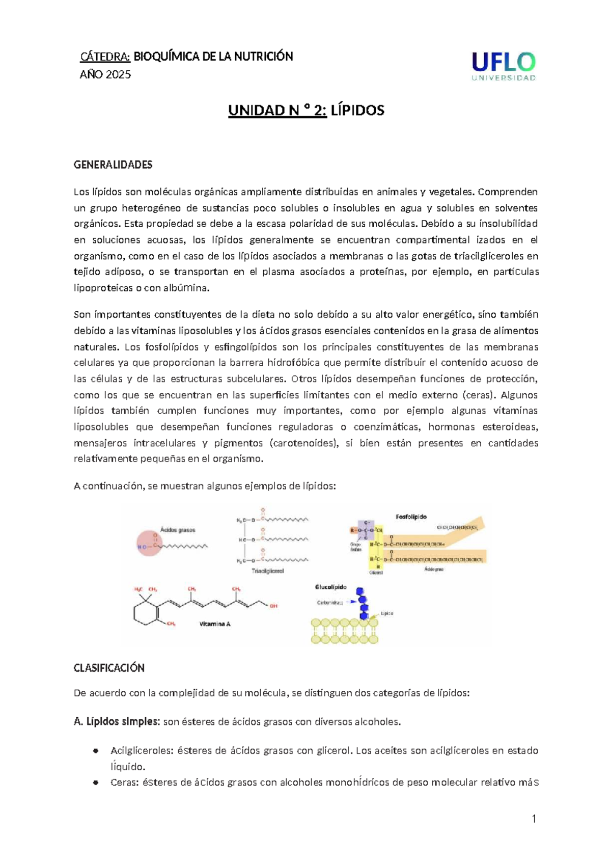 CÁTEDRA: BIOQUÍMICA DE LA NUTRICIÓN AÑO 2025 UNIDAD 2: LÍPIDOS Y ÁCIDOS ...