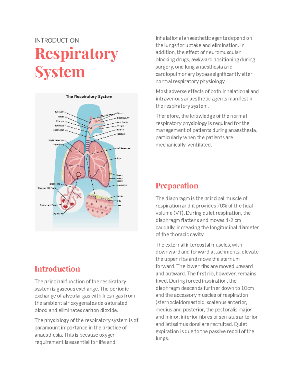 Respiratory System Overview for Anaesthesia Management (Course Code ...