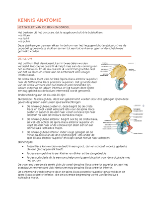 Anatomie van de heup - coxae; het is een kogelgewricht waarin binnen ...